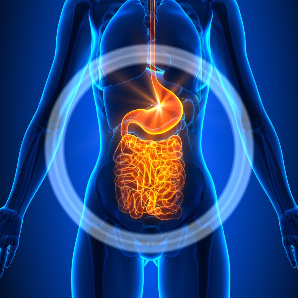 How Your Gut Health Affects Your Skin | Prplastic